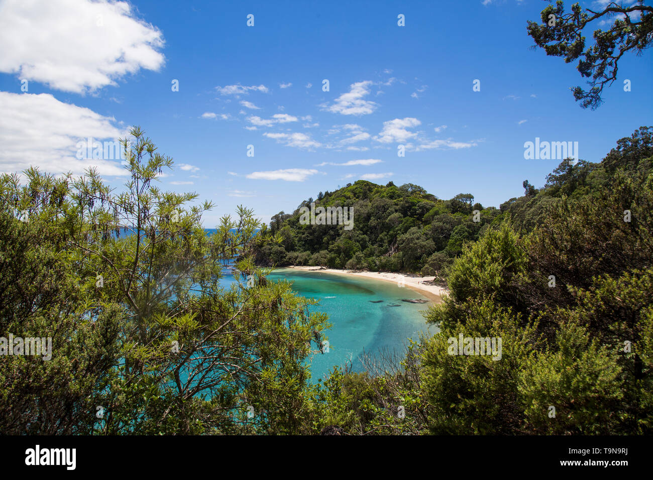 View through trees walking down to Whale Bay. Glorious white sand beach ...