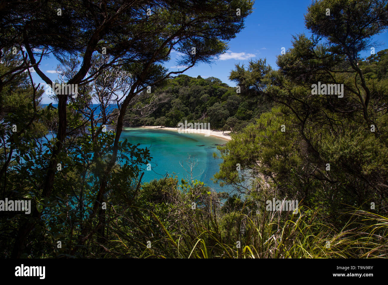 View through trees walking down to Whale Bay. Glorious white sand beach ...