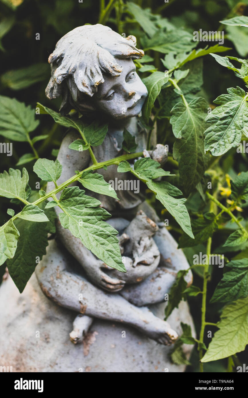 Garden statue with green tomato vines growing around Stock Photo - Alamy