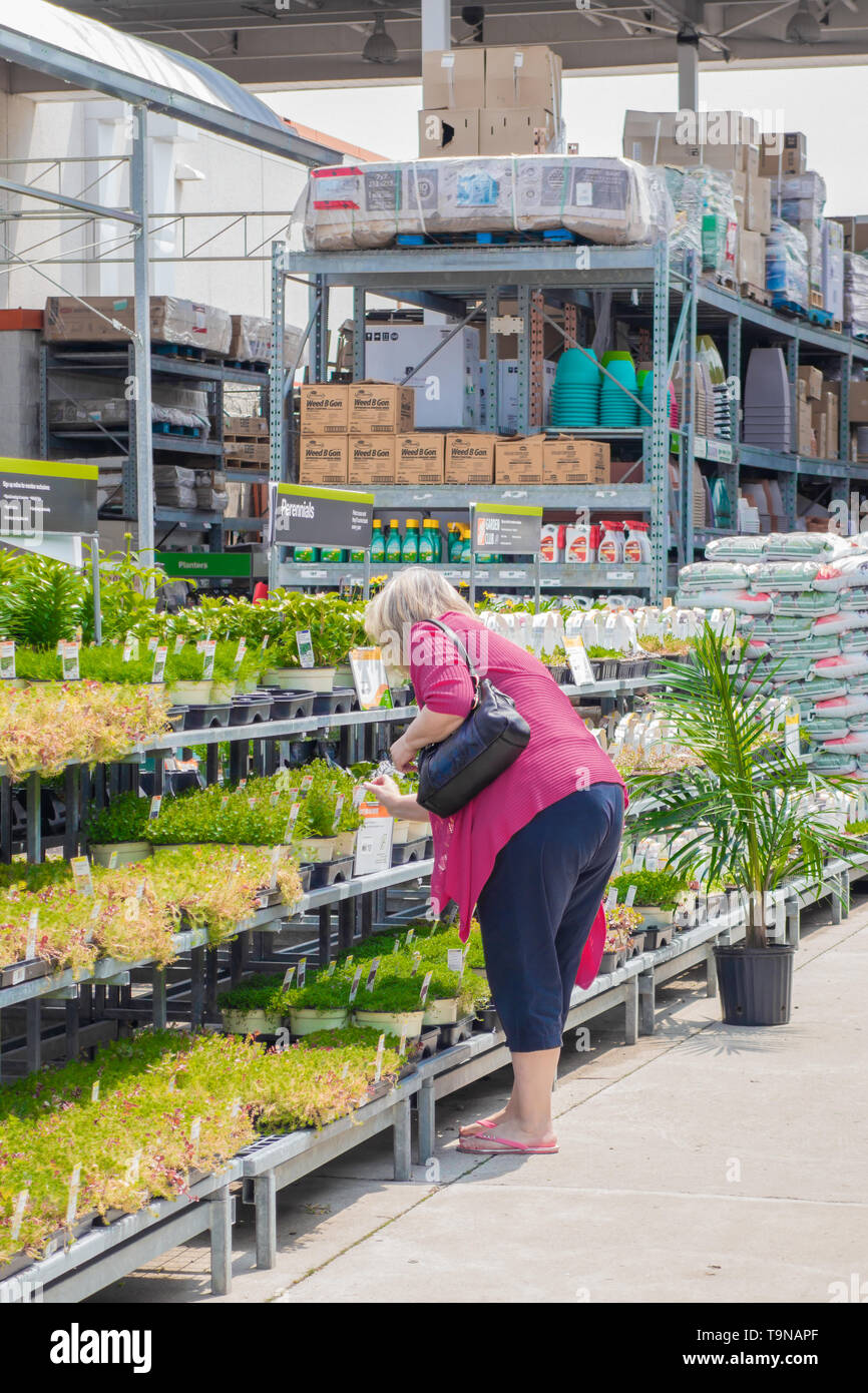 Blooms garden centre hi-res stock photography and images - Alamy