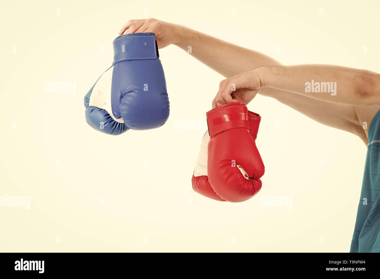 Boxing gloves. Fight gloves. Hook and loop training gloves. Boxing ...