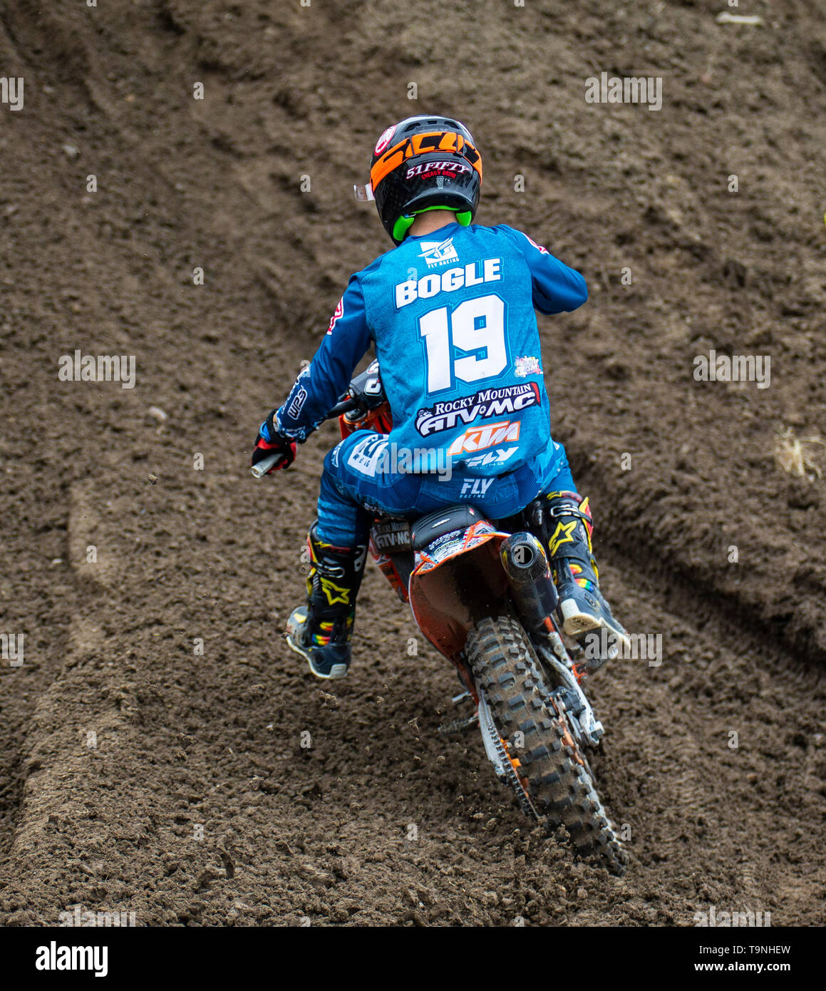 James bogle hi-res stock photography and images - Alamy