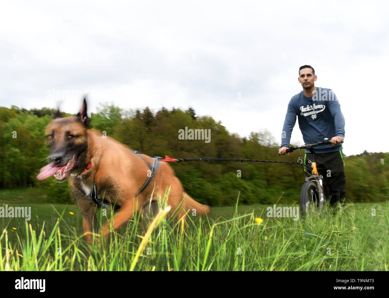 Trier, Germany. 10th May, 2019. Mario Reitz lets himself be pulled on a ...