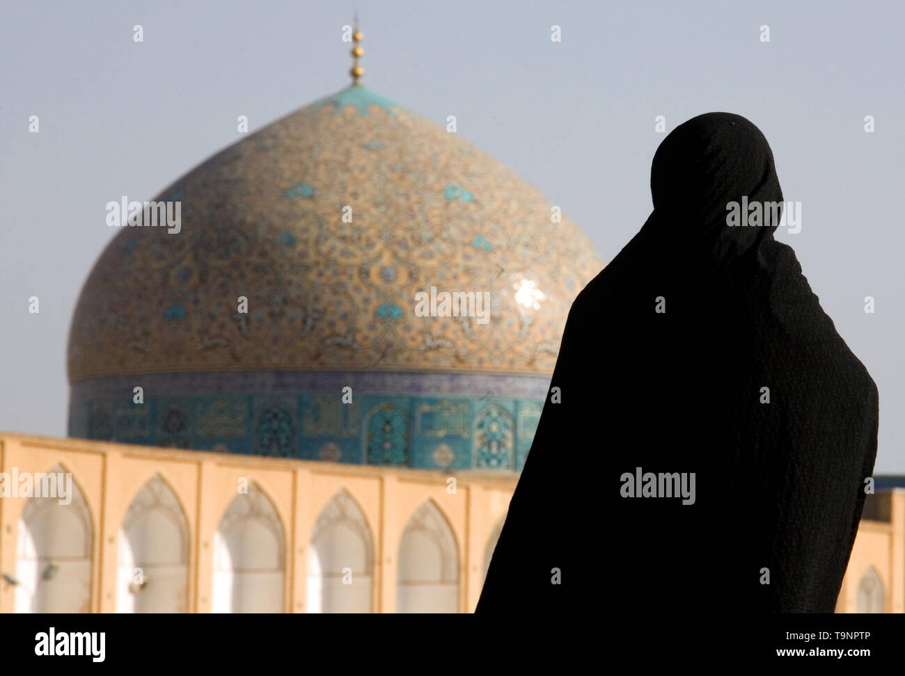 Lutfallah mosque hi-res stock photography and images - Alamy