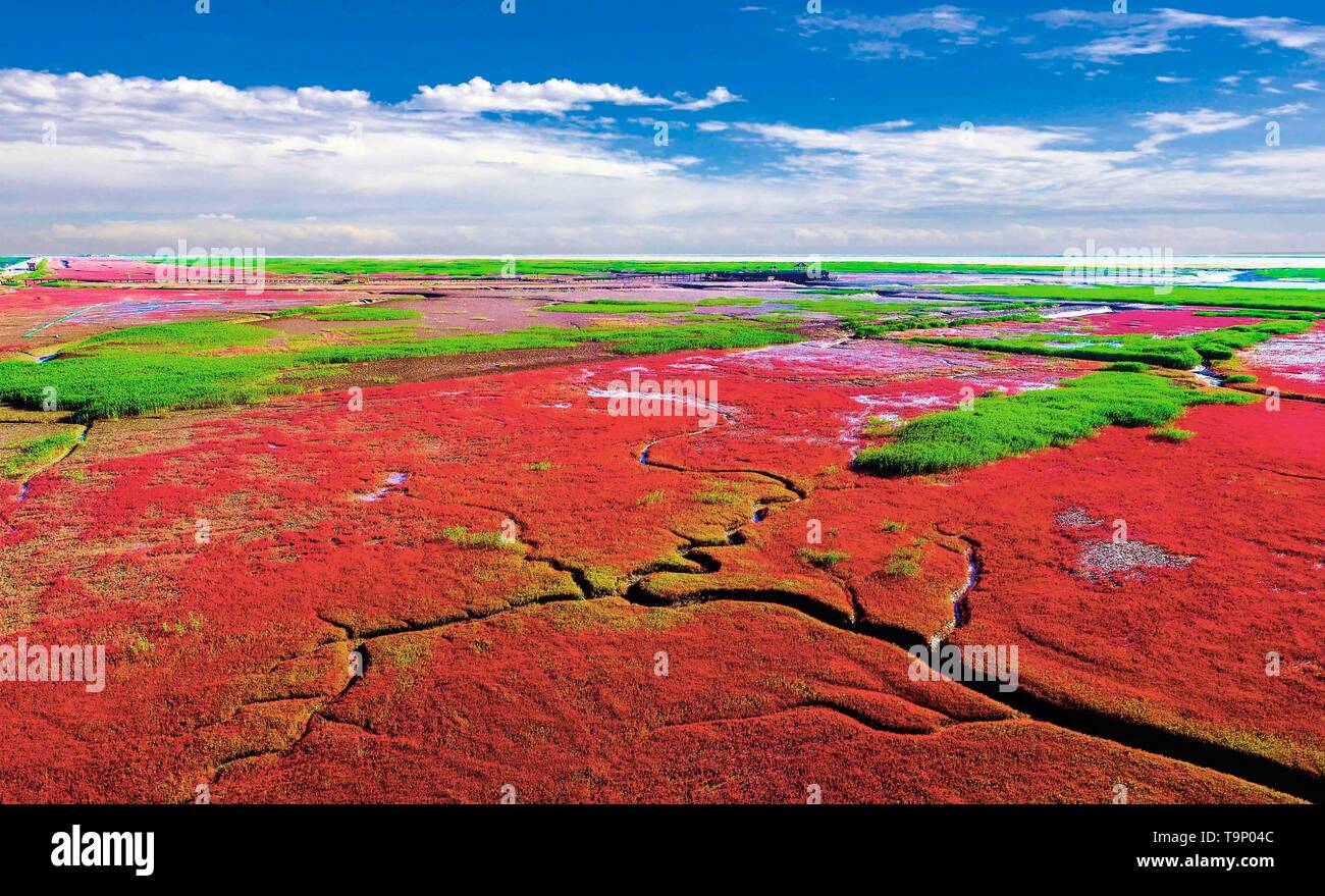 Red Beach, Panjin