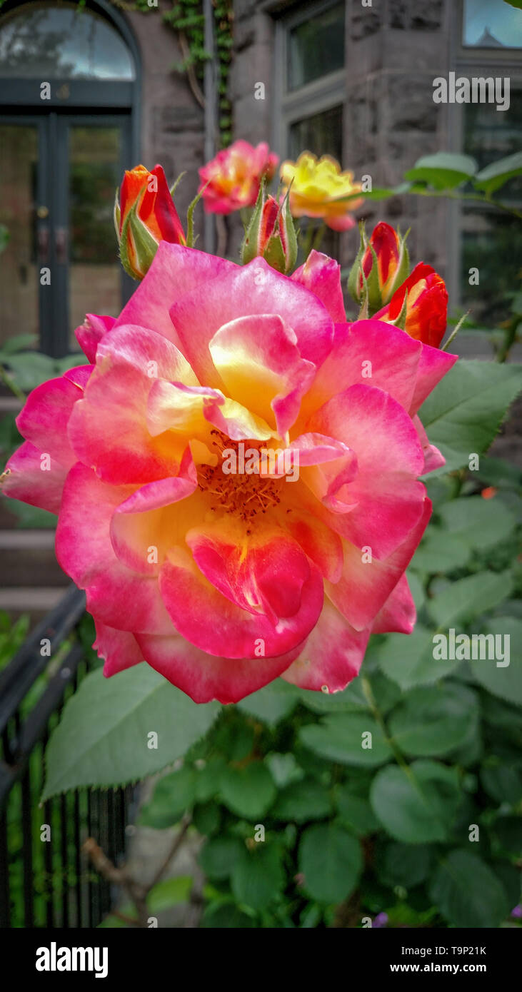 Dc neighborhoods hi-res stock photography and images - Alamy
