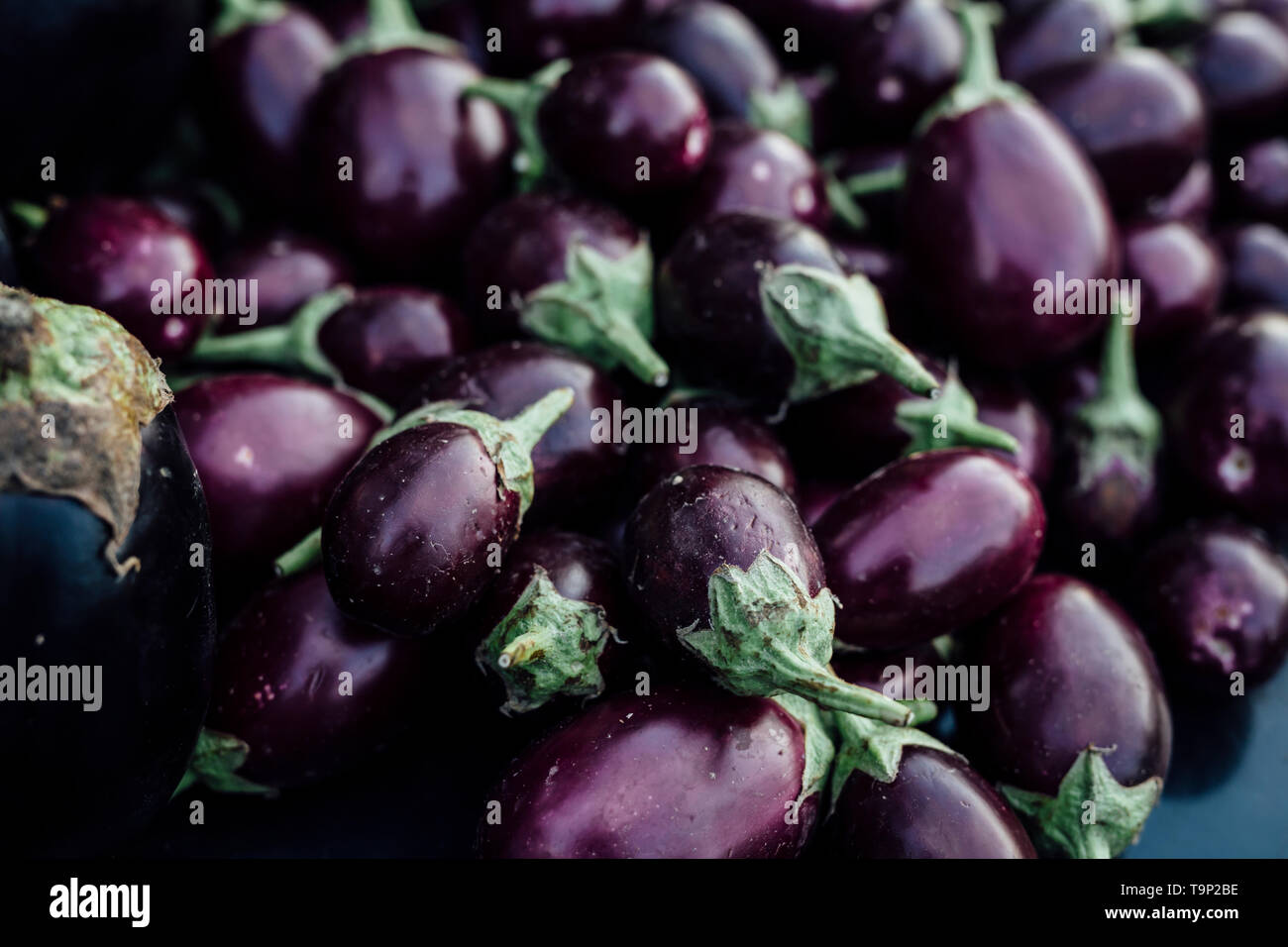 Fresh Gourmet FOOD Preparation. Luxury Kitchen dishes. Fine ingredients ...