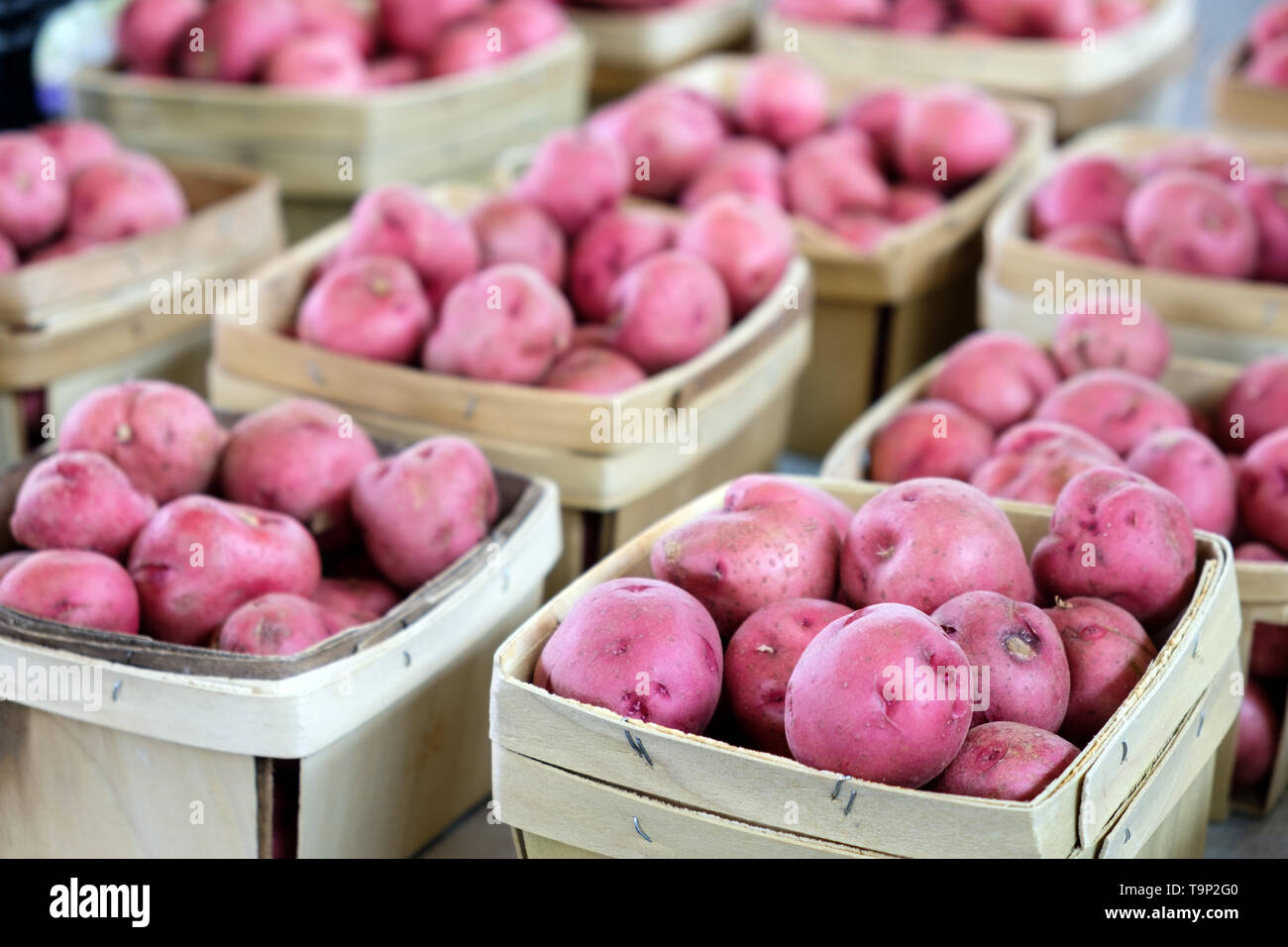 Red potato farm hi-res stock photography and images - Alamy