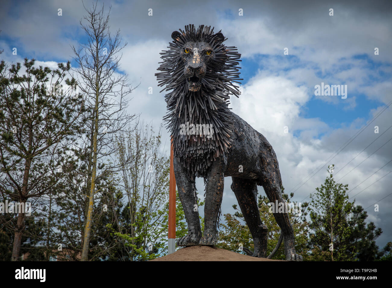 C S Lewis Narnia Lion Statue in Belfast Stock Photo - Alamy