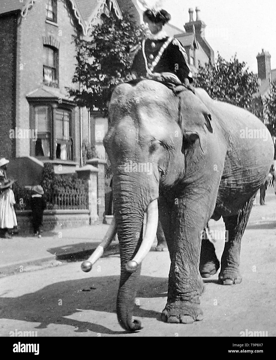 Vintage victorian circus Black and White Stock Photos & Images - Alamy