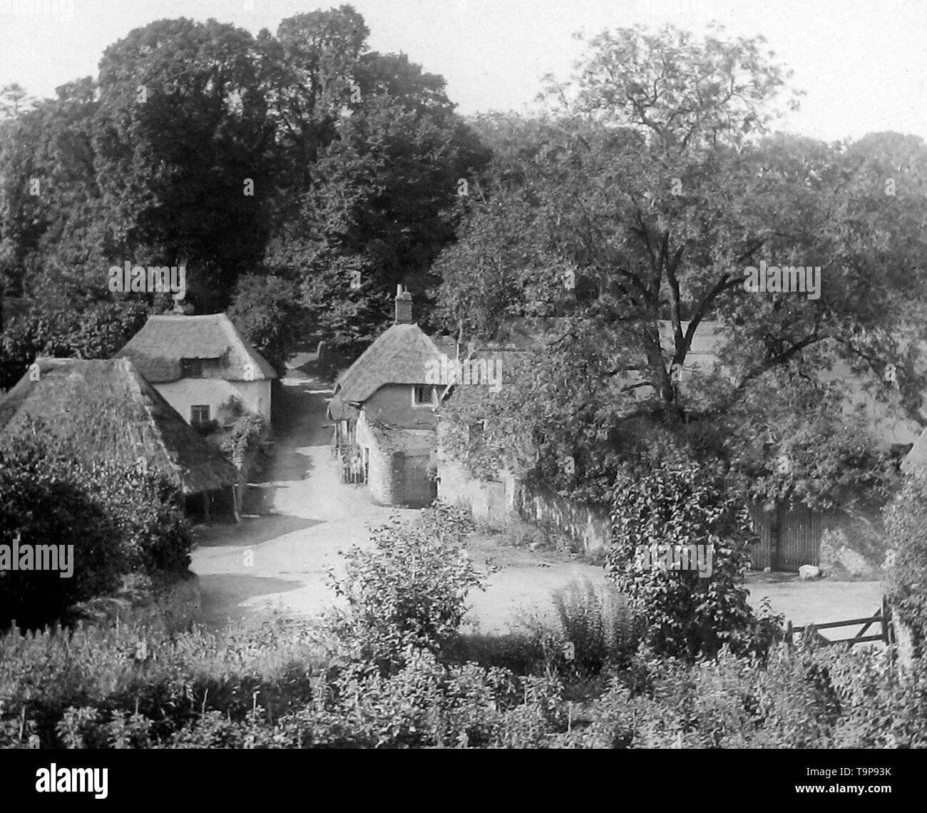 Cockington devon hi-res stock photography and images - Alamy