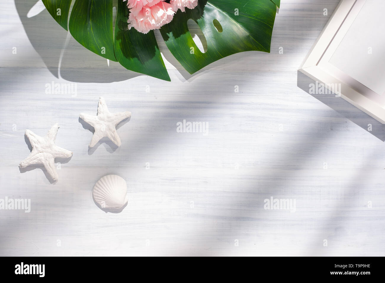 Top view summer monstera leaf and shell and star fish on white wood ...