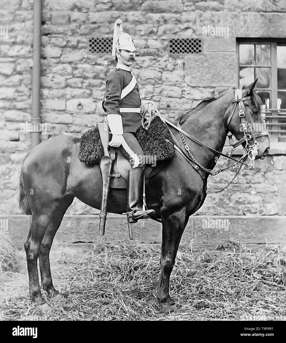 Order review Black and White Stock Photos & Images - Alamy