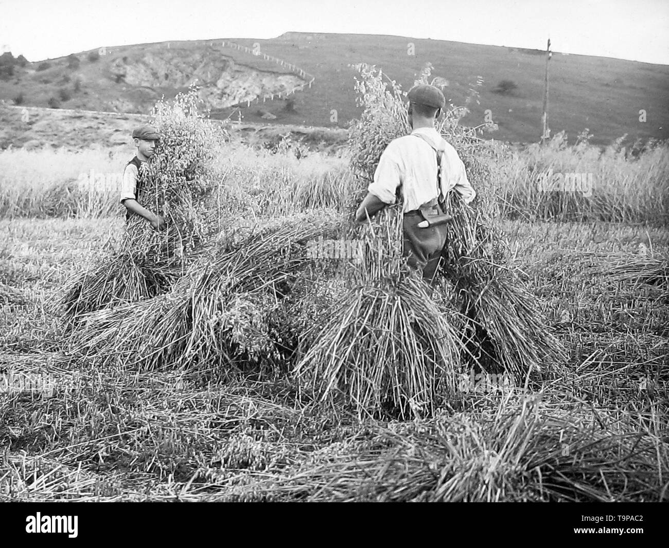 Victorian harvest hi-res stock photography and images - Alamy