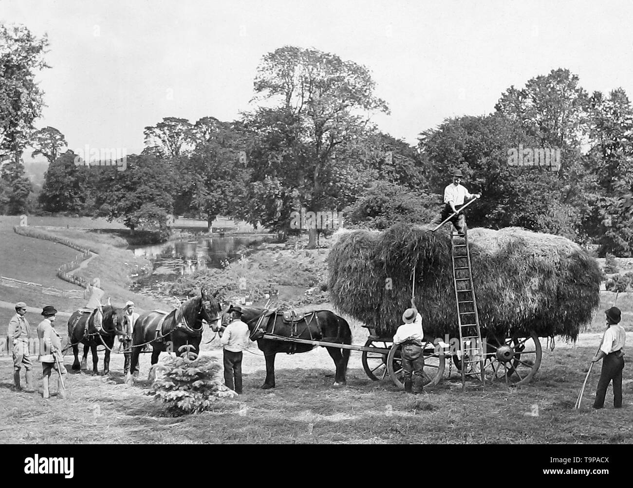 Farming edwardian hi-res stock photography and images - Alamy