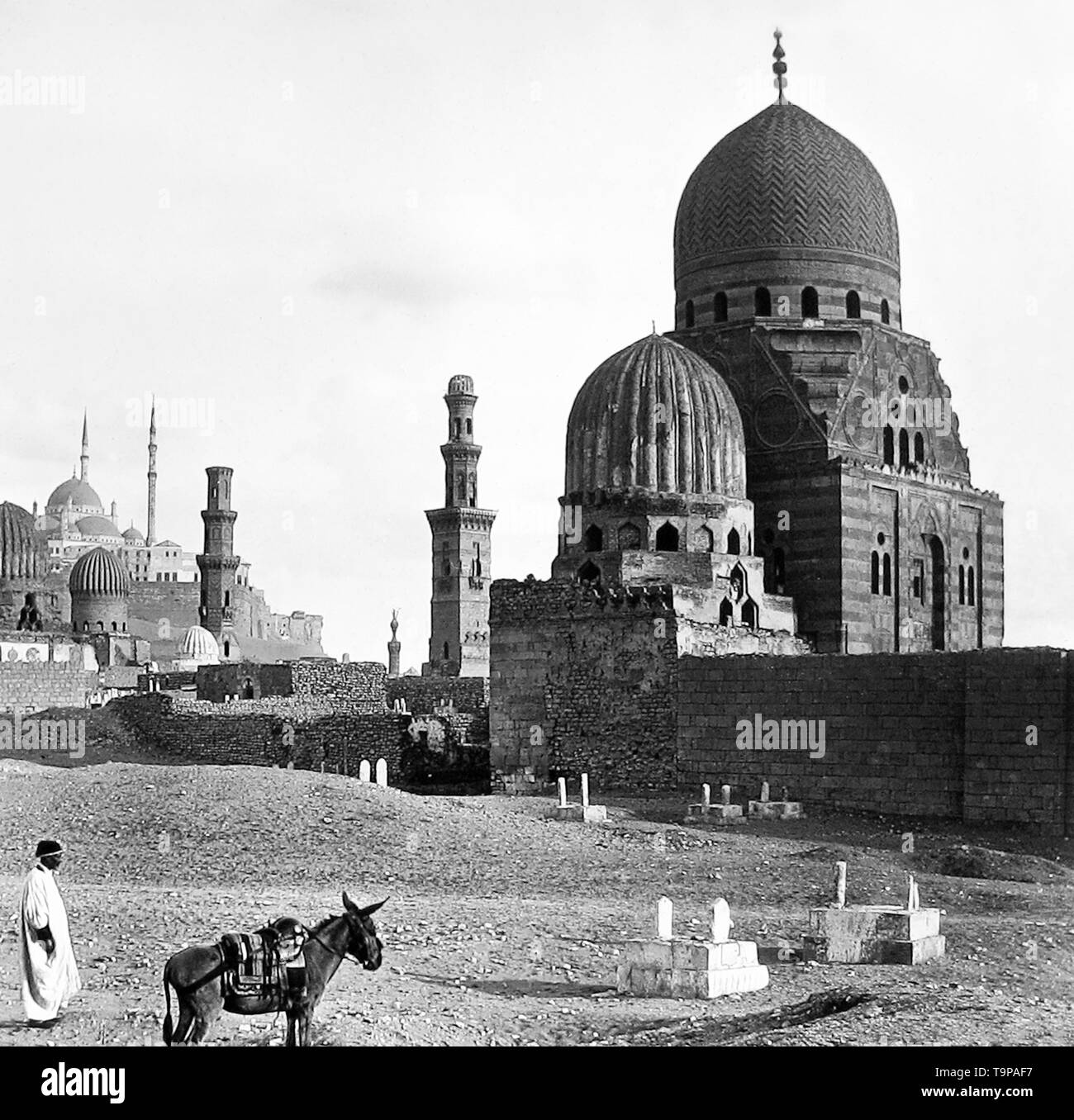 Mamelukes hi-res stock photography and images - Alamy