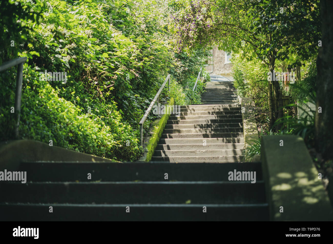 Hidden stairs san francisco hi-res stock photography and images - Alamy