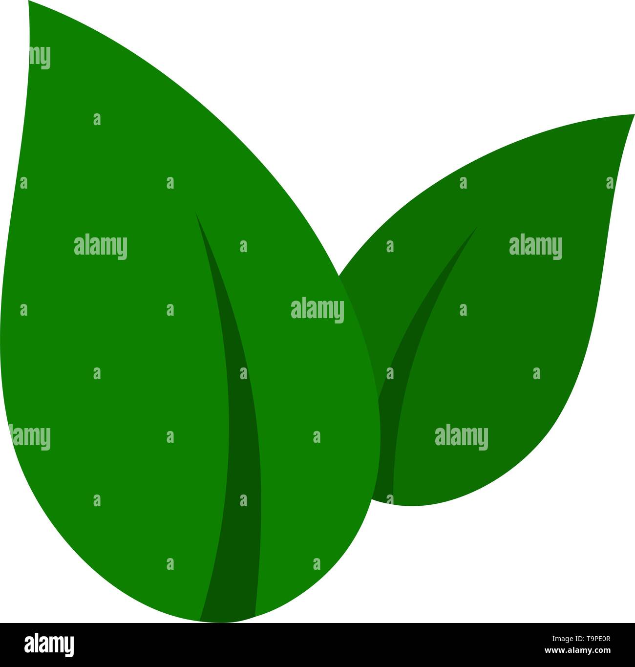 Spa Leaves Icon. Flat Color Design. Vector Illustration Stock Vector ...