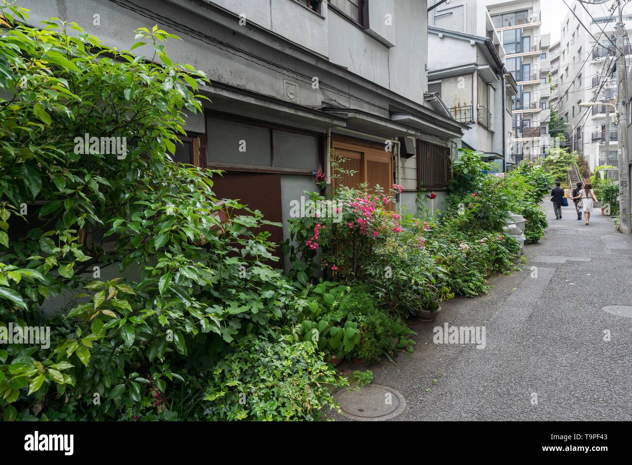 Street scene of Tomigaya, Shibuya-Ku, Tokyo, Japan Stock Photo - Alamy