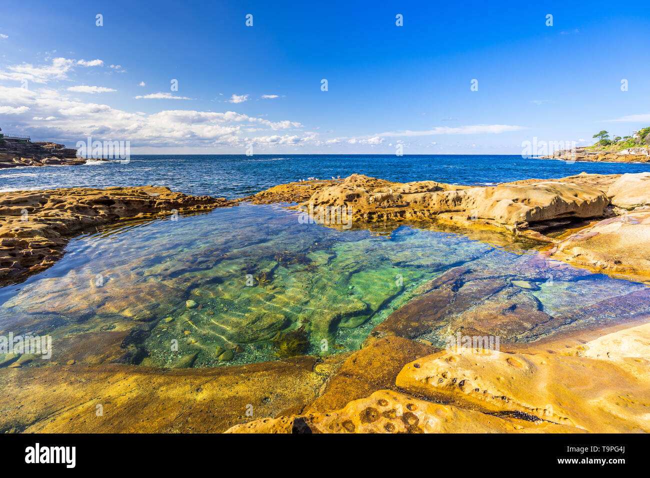 The rock pools along the Coogee beach to Maroubra beach walk in Sydney ...