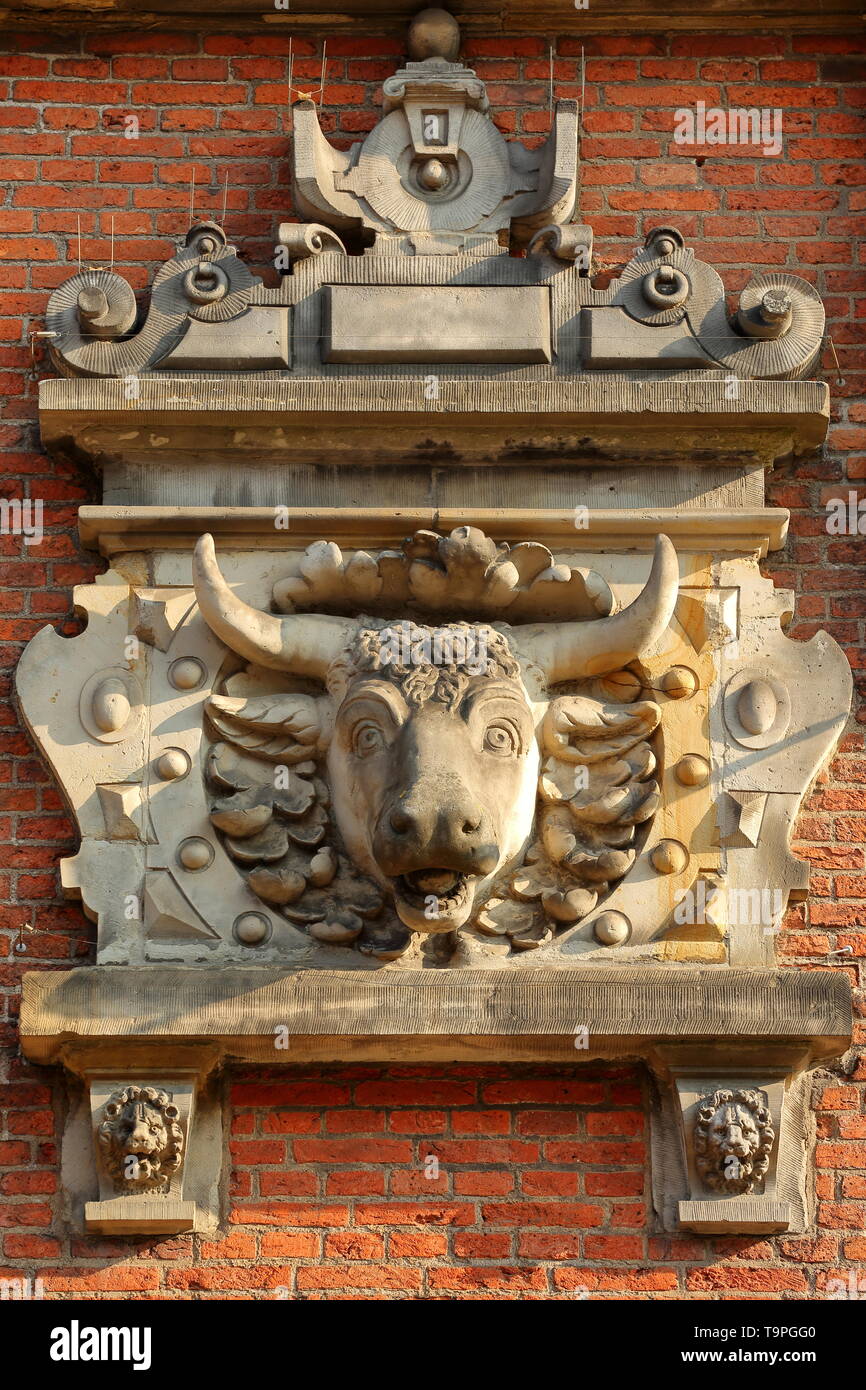 Ox head hi-res stock photography and images - Alamy