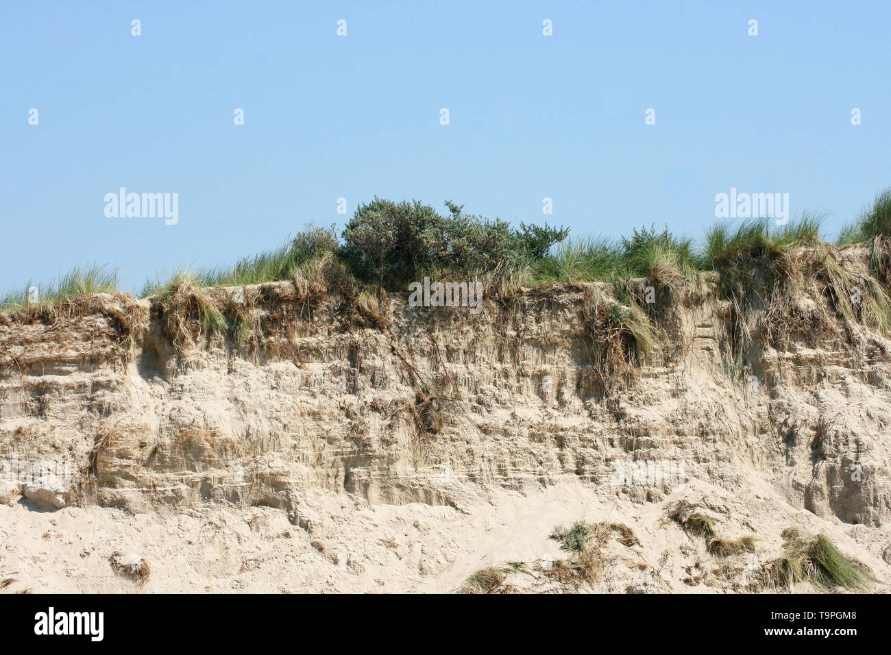 a sandy cliff on the sea coast Stock Photo - Alamy