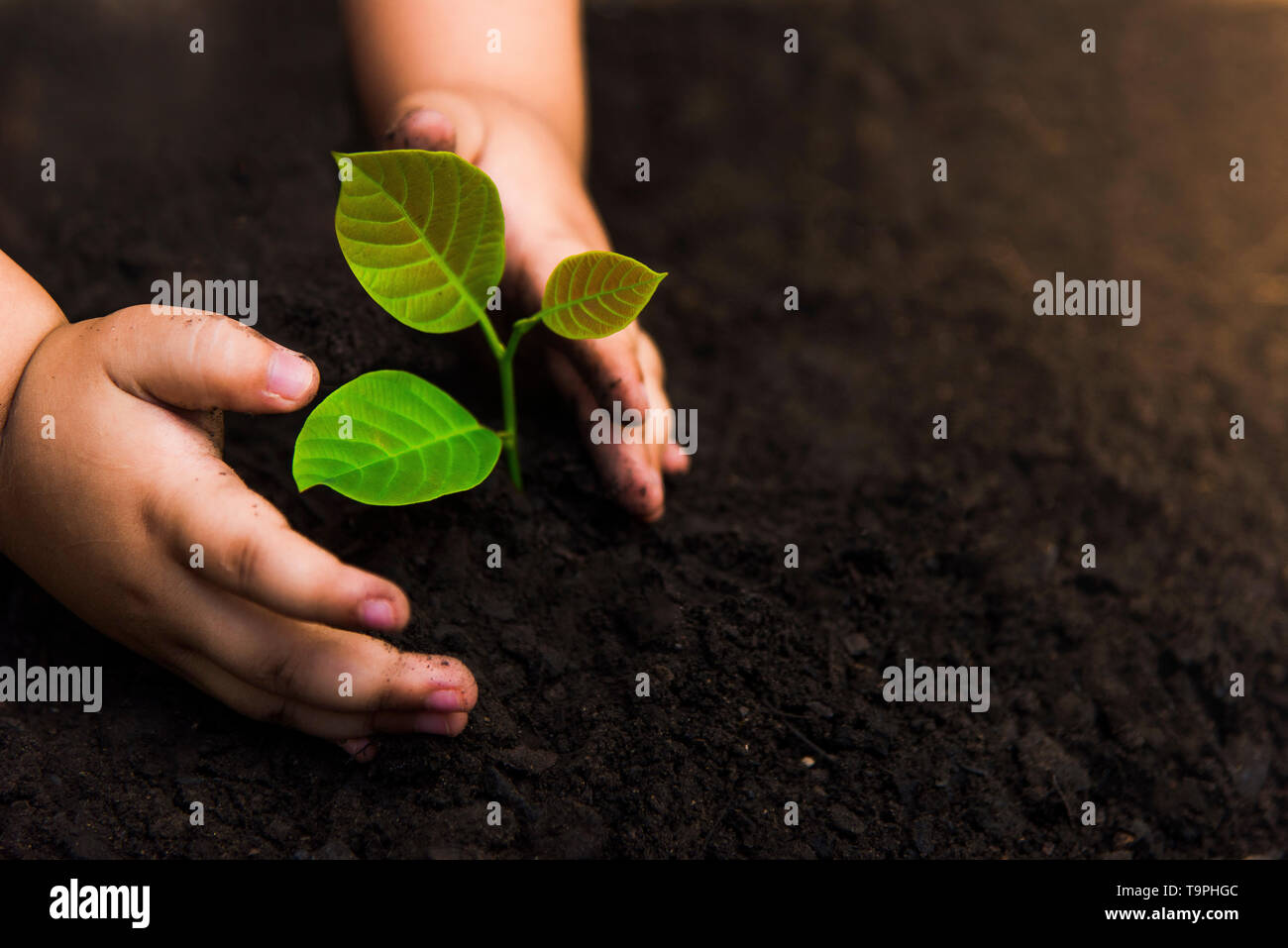 Baby money hands hi-res stock photography and images - Alamy