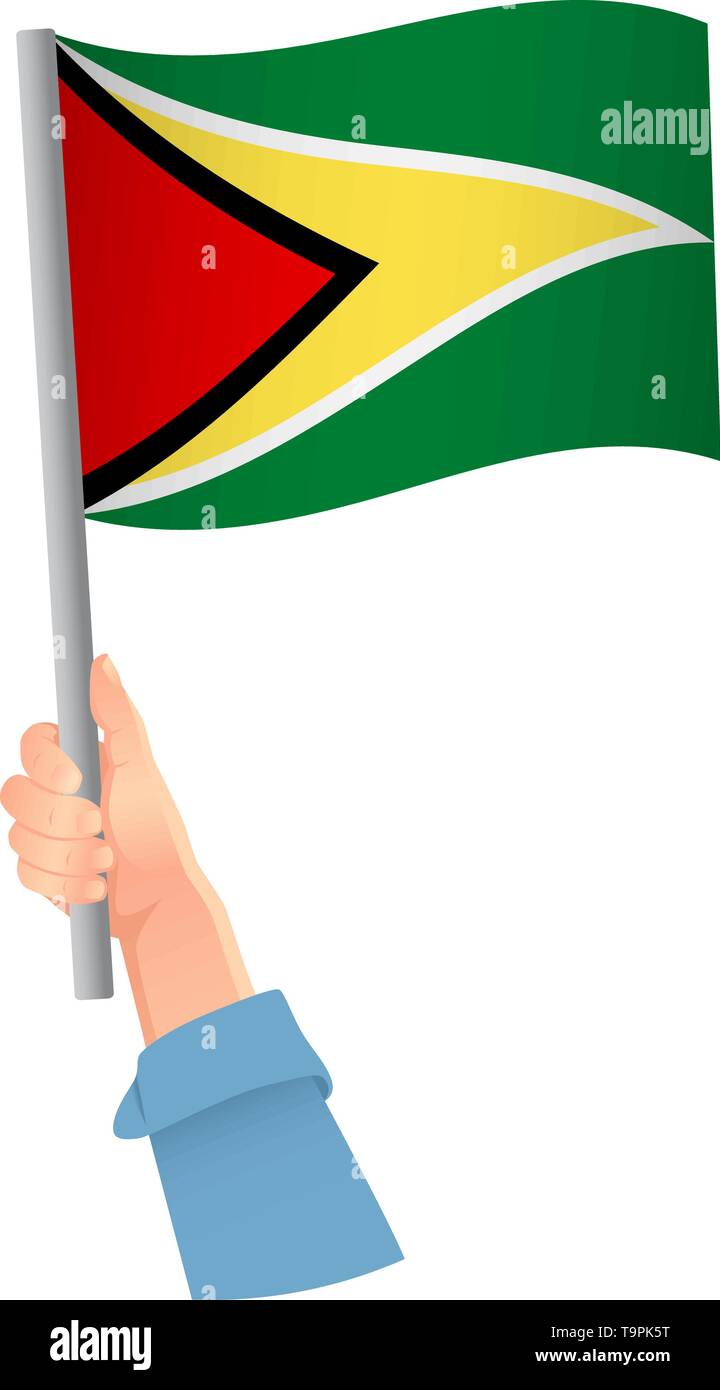 Guyana flag in hand. Patriotic background. National flag of Guyana vector illustration Stock ...