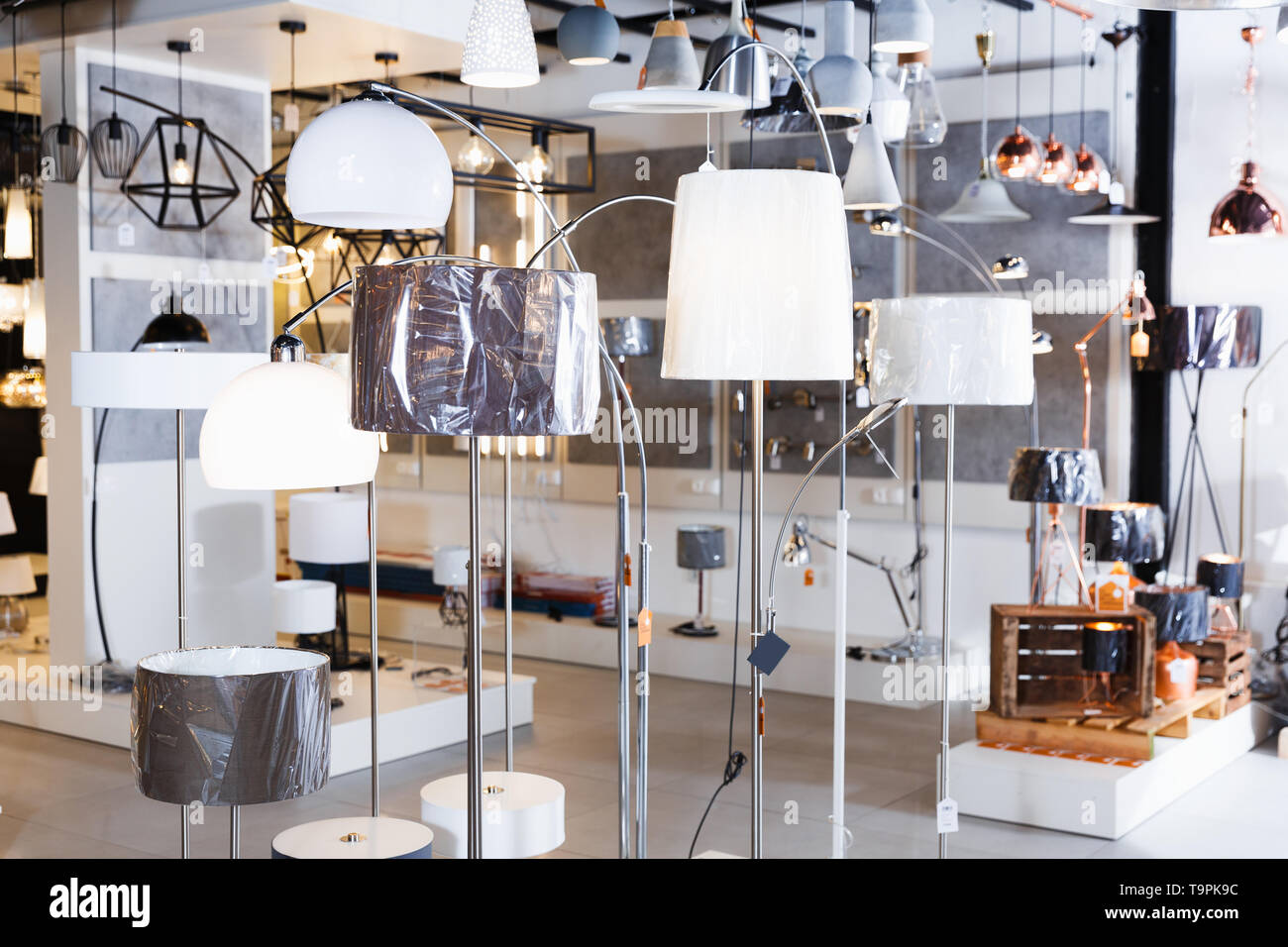 Image of different new lamp with lights in the designer furniture store ...