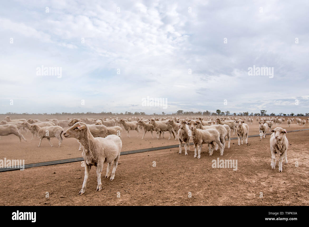 May 2019 Burren Junction, Australia: Clouds but no rain in sight as ...