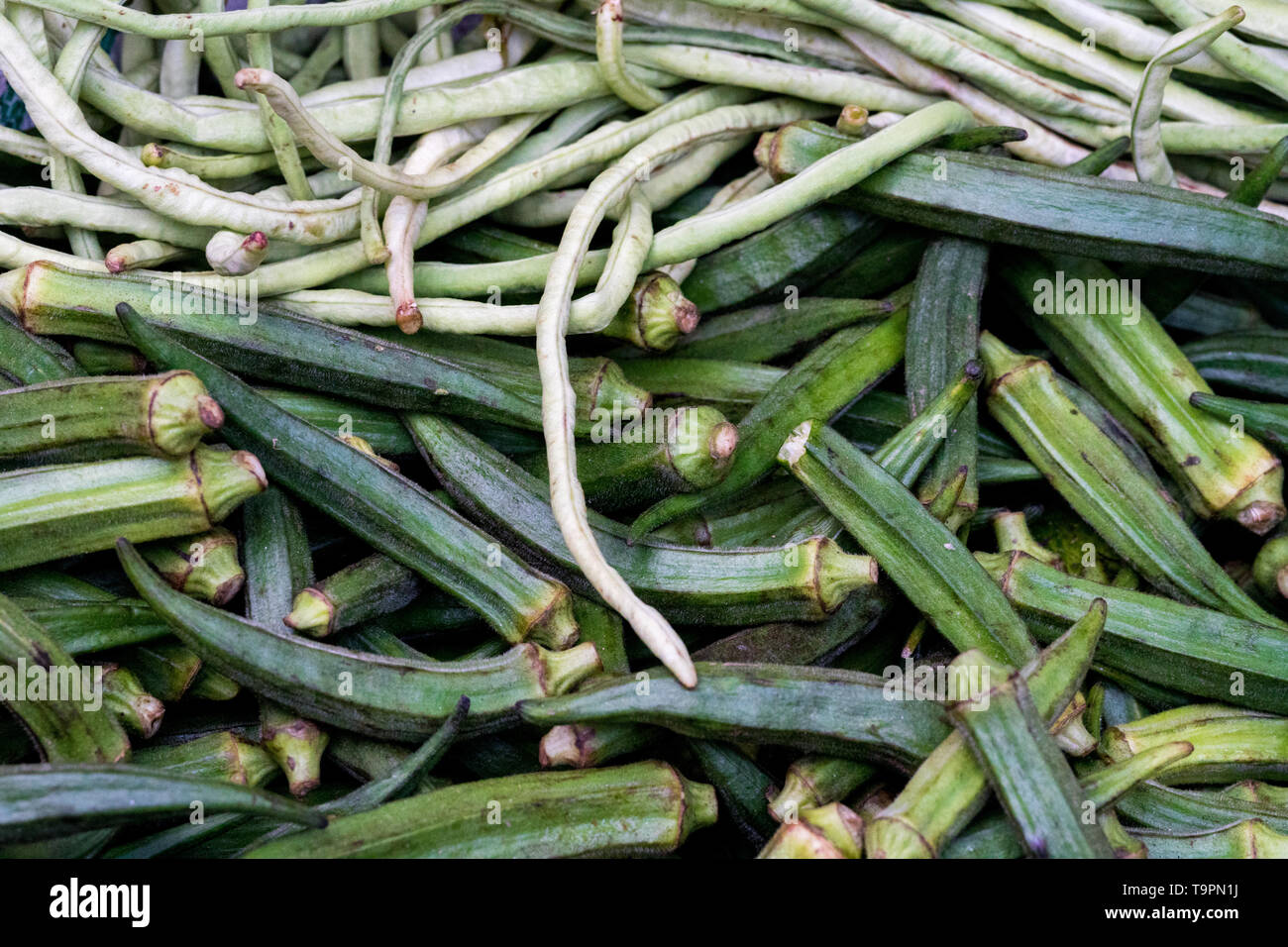 Vegetables being sold on the street market of Kathmandu, Nepal Stock ...