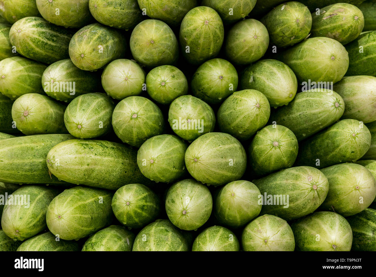 Cucumbers being sold on the street market of Kathmandu, Nepal Stock ...