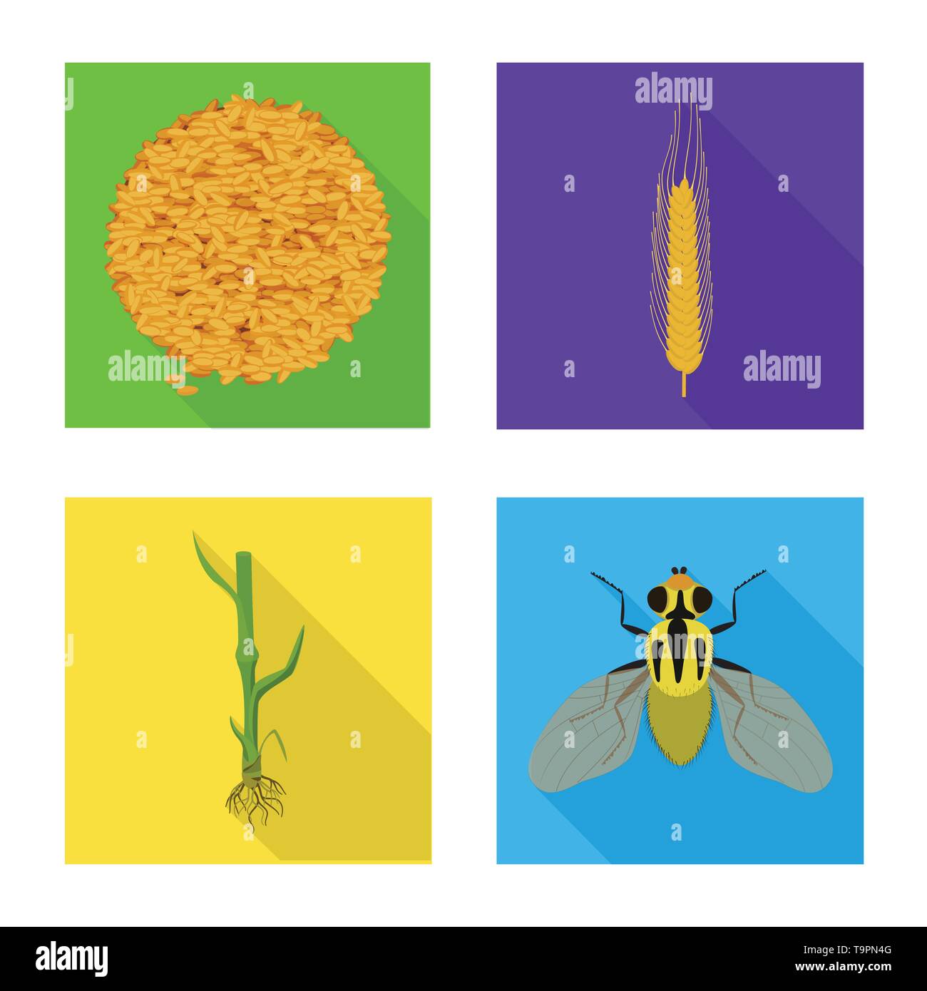 stem,fly,seeds,winter,root,insect,rural,meadow,leaves,wildlife,oat ...