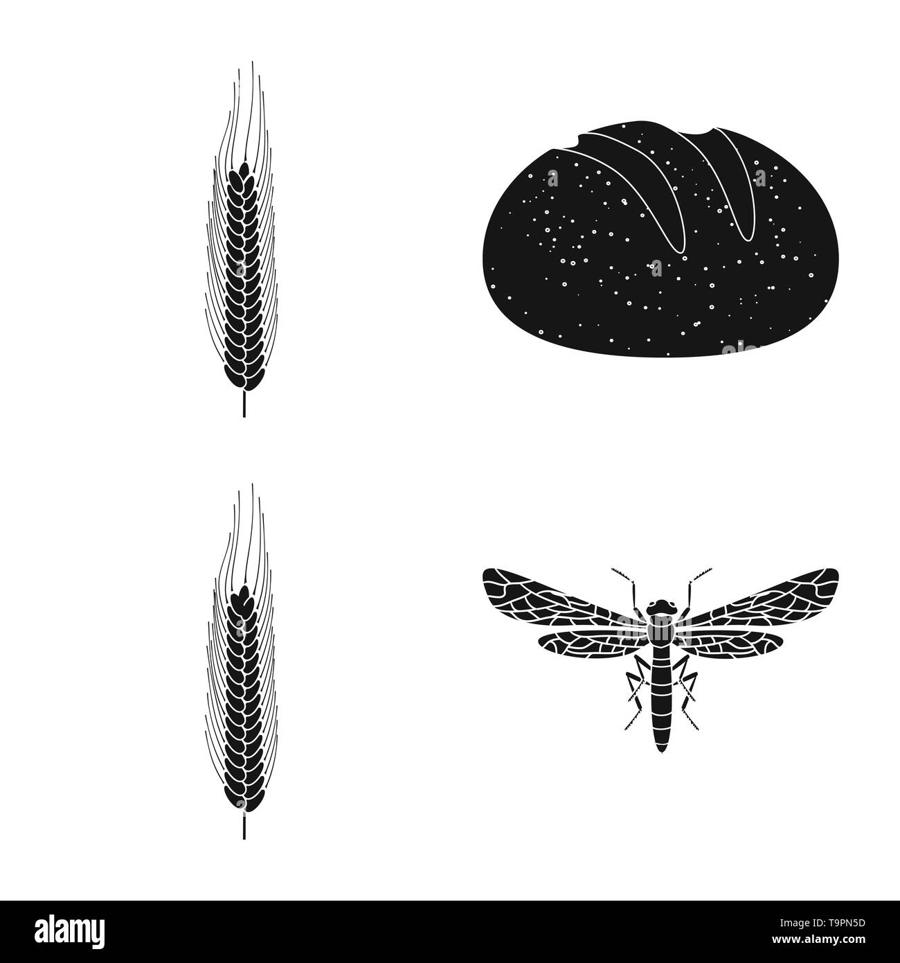 bread,fly,winter,insect,spring,pest,spike,food,control,durum,breakfast ...