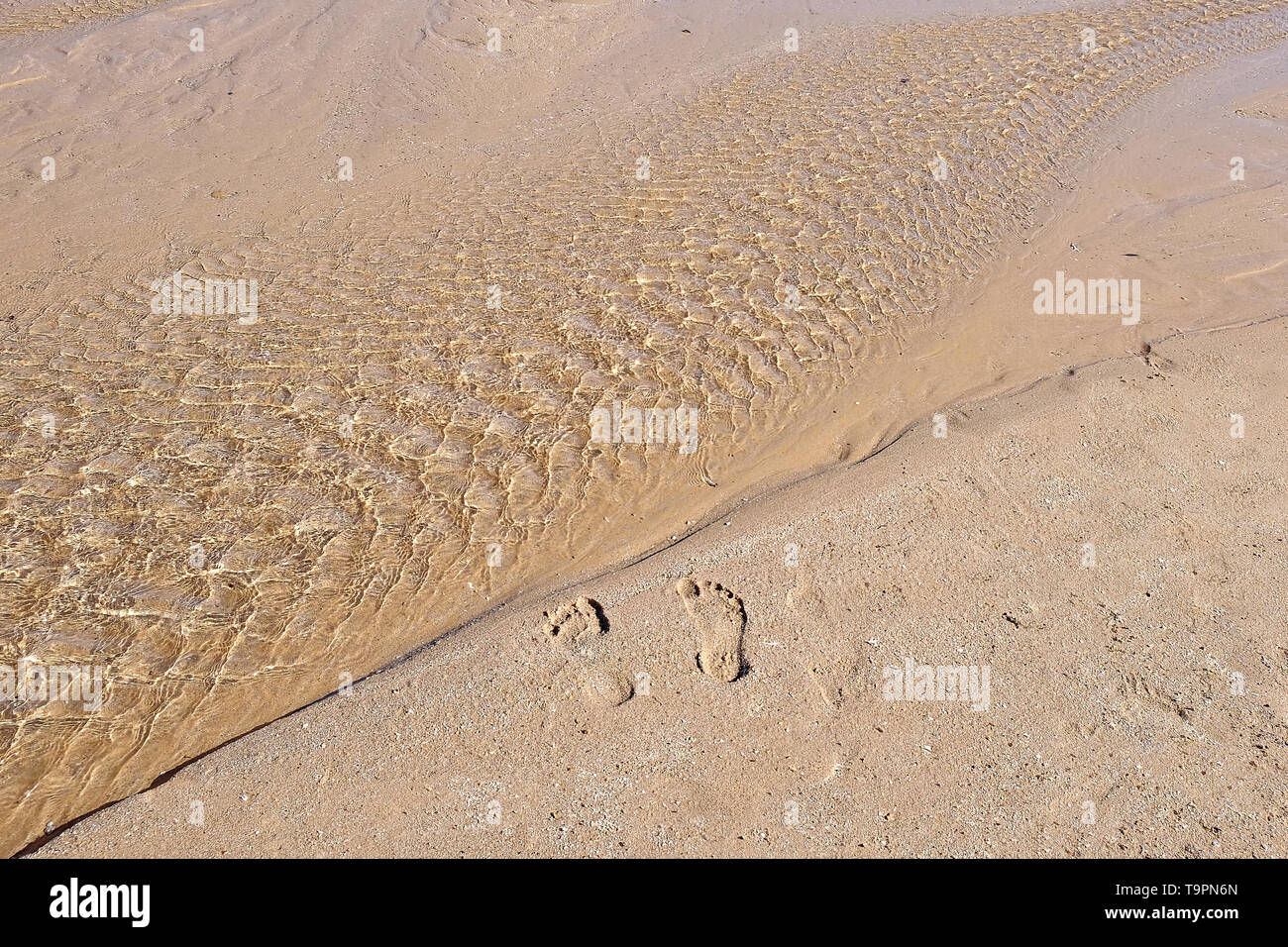 Close-up of footprints and rippled sand on a beach in bright sunshine ...