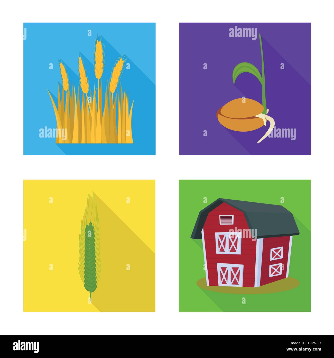 spring,seed,granary,spike,grow,winter,building,ripe,plantation,meadow ...