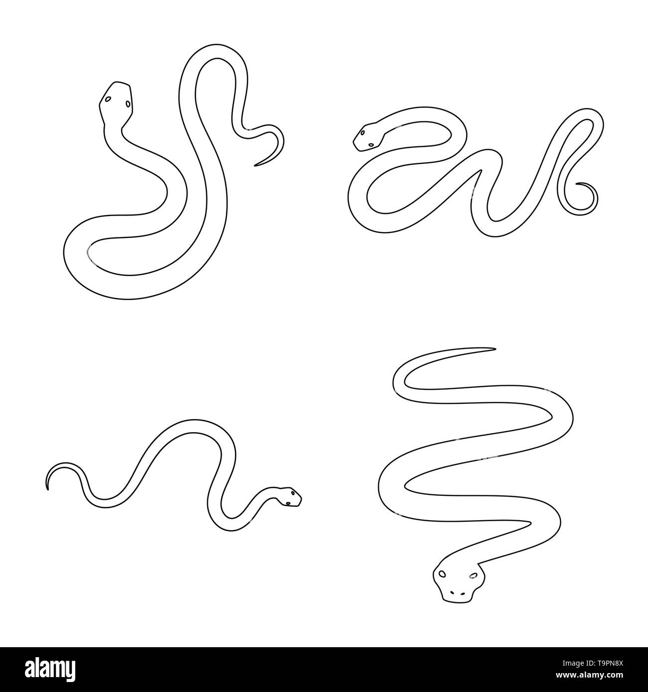 snake,animal,tail,cobra,creeping,tropical,tropics,leather,spotted ...