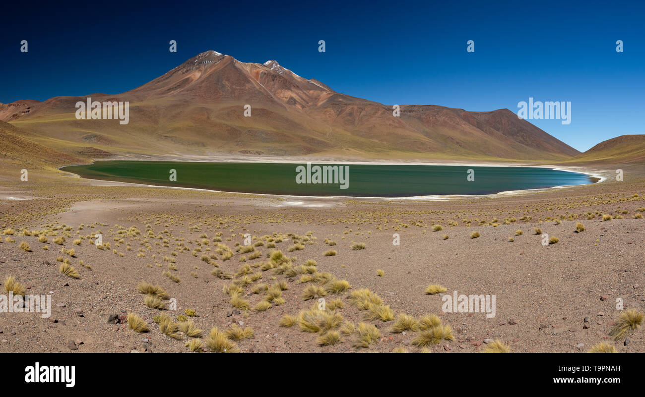 Miniques lagoon in Atacama highlands huge panorama Stock Photo - Alamy