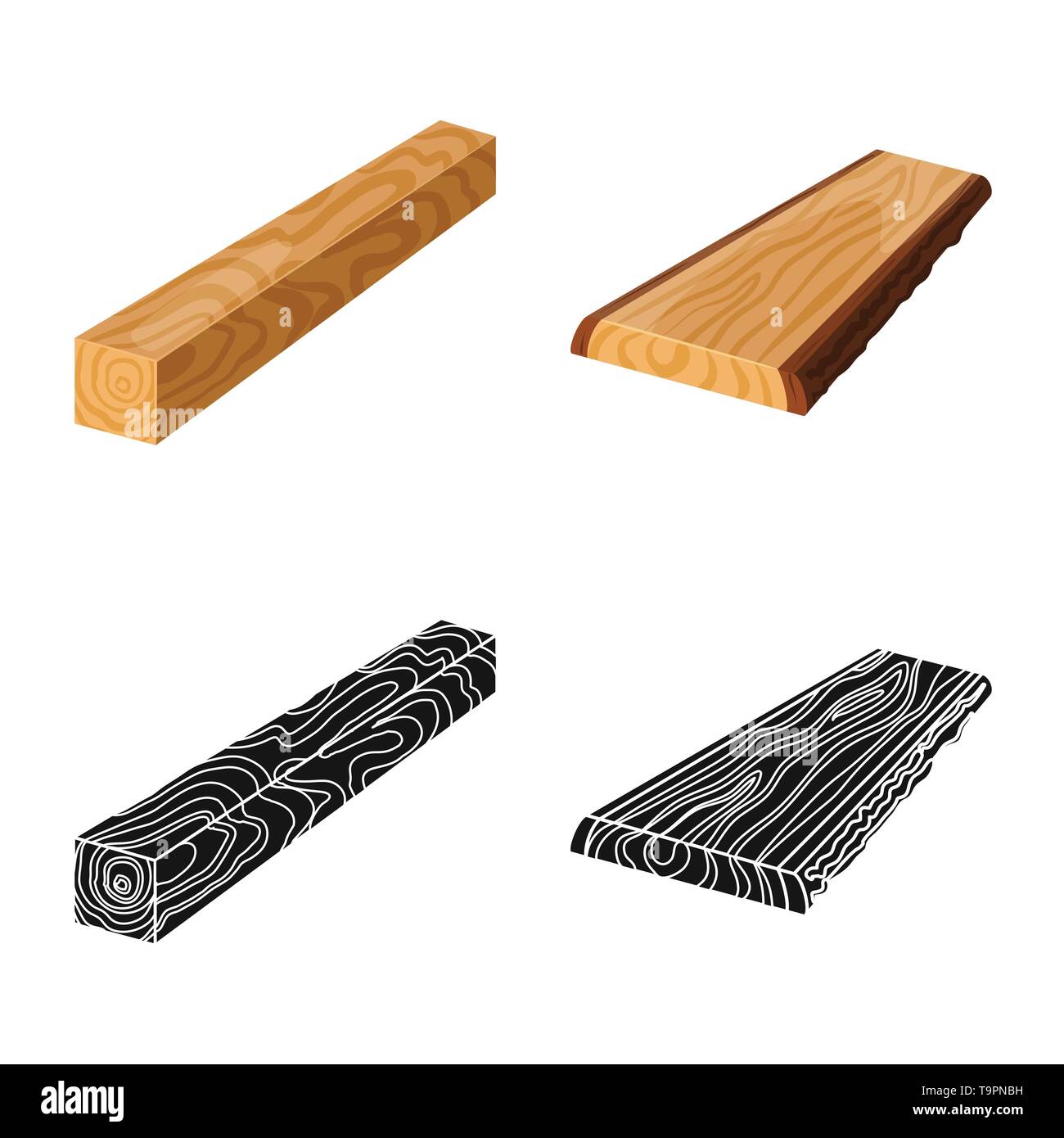 timber,plank,piece,lumber,section,trunk,oak,texture,birch,bark,beech ...