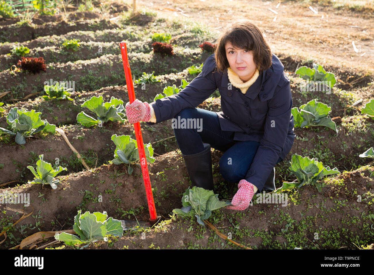 Young woman hoe weeding vegetable hi-res stock photography and images ...