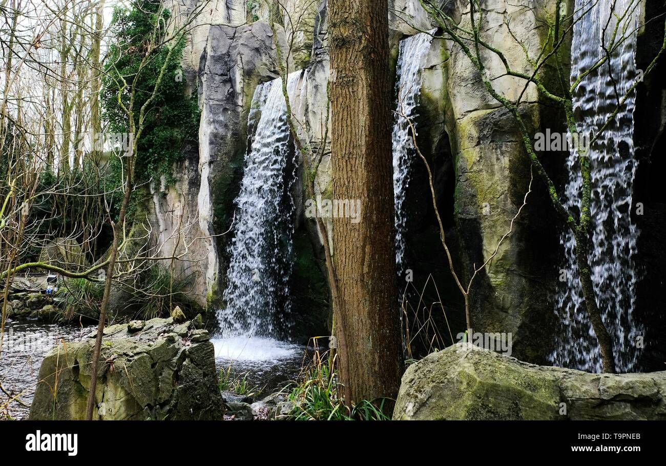 forest waterfall and rocks covered with moss on a cloudy day in ...
