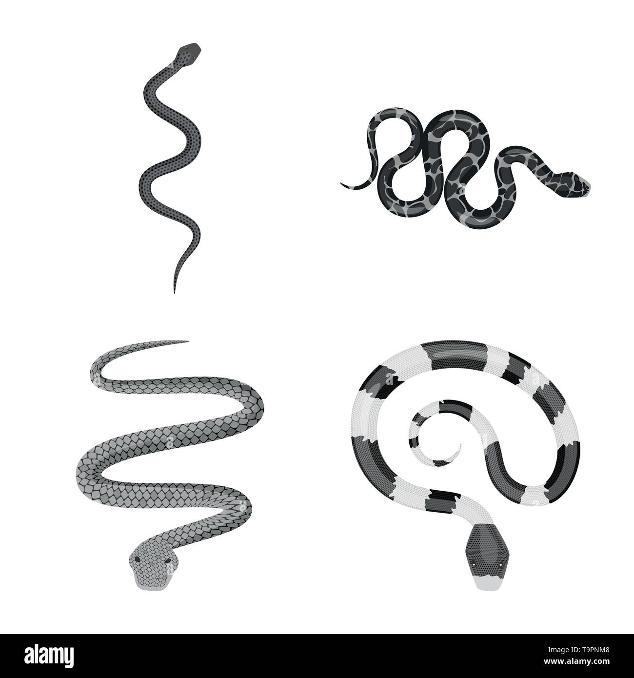 Isolated object of harm and bite symbol. Collection of harm and reptile ...