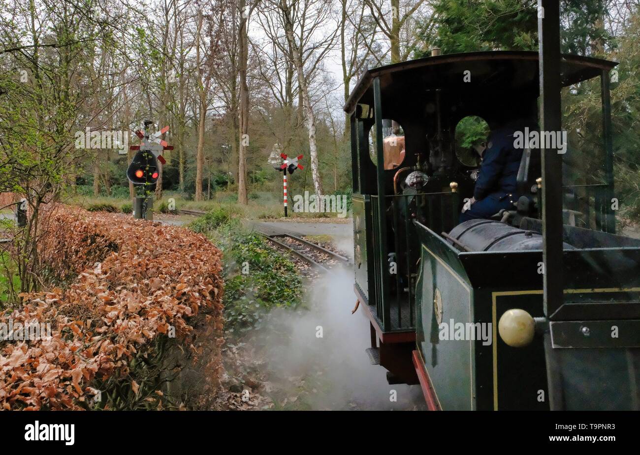 steam train through the amusement park Efteling in the Netherlands ...