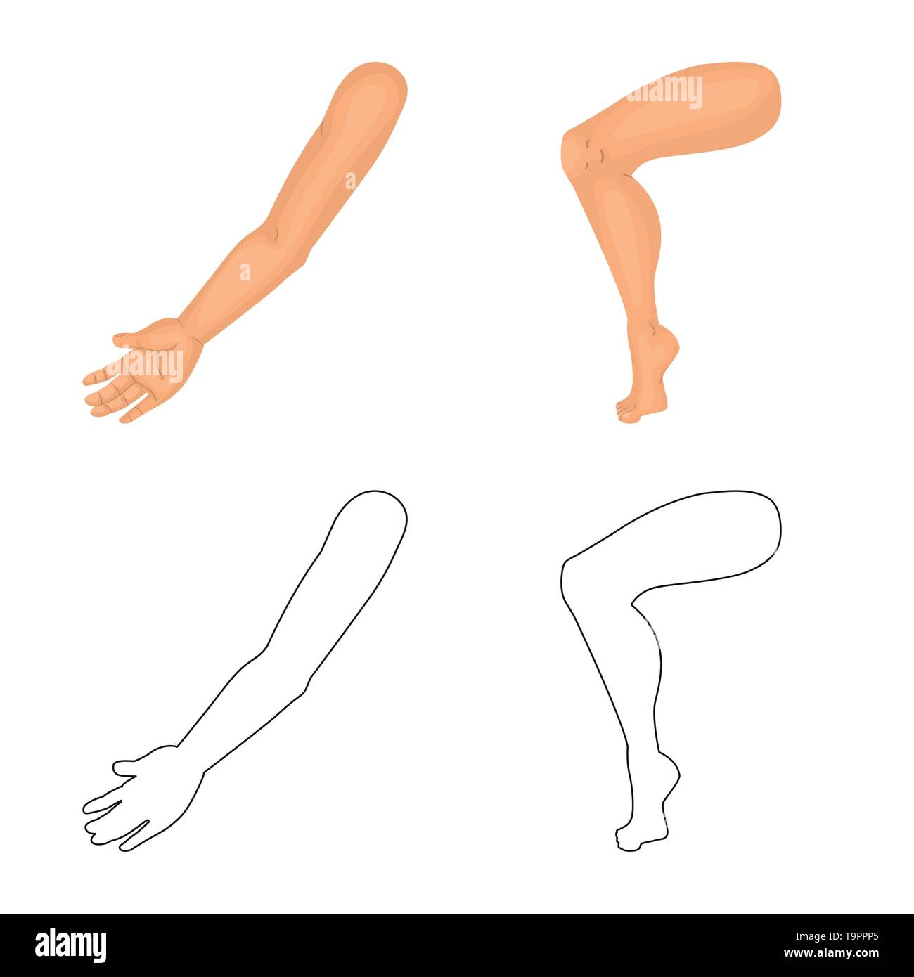 Vector design of body and part symbol. Collection of body and anatomy ...