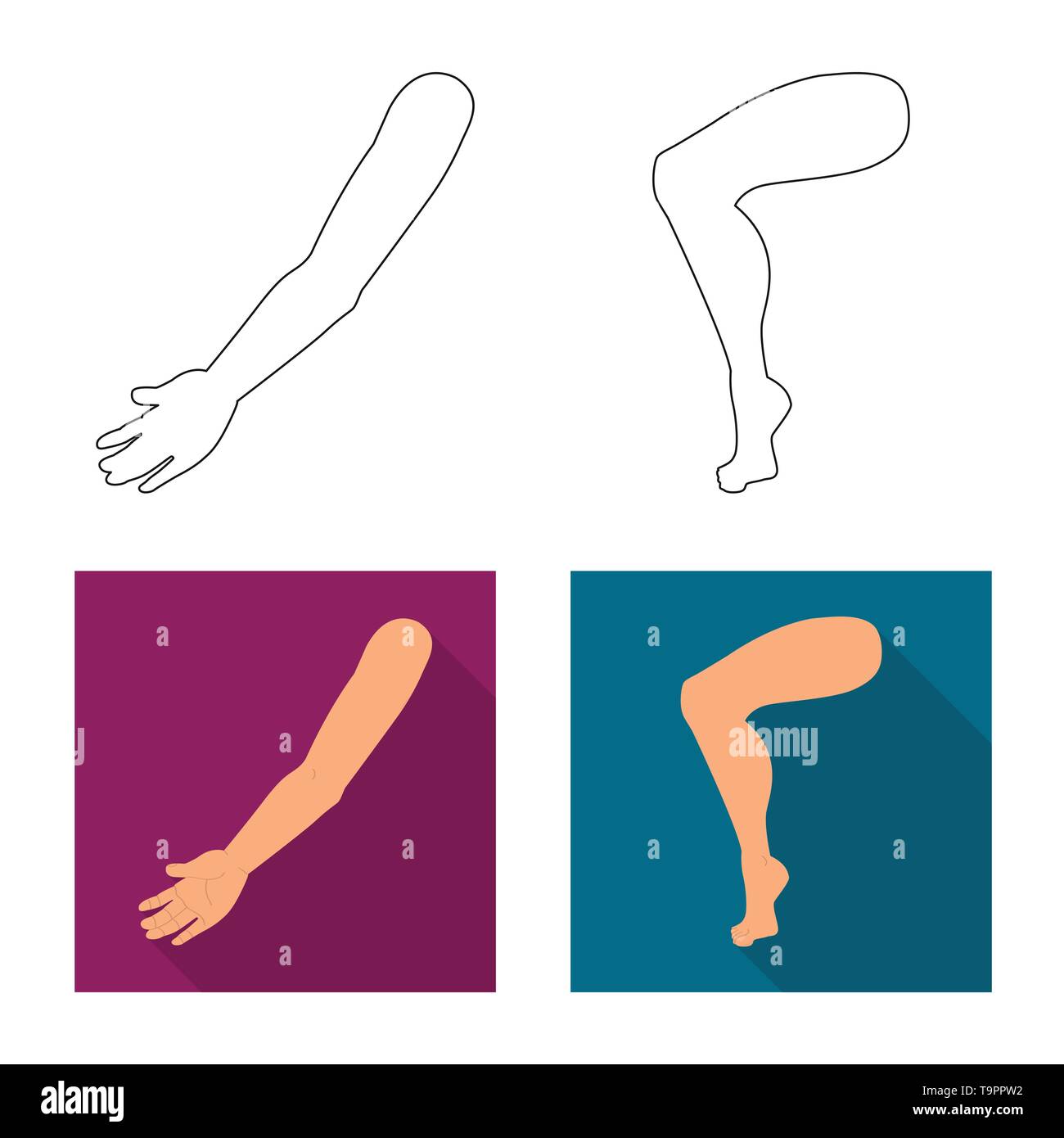 Isolated object of body and part symbol. Set of body and anatomy vector ...