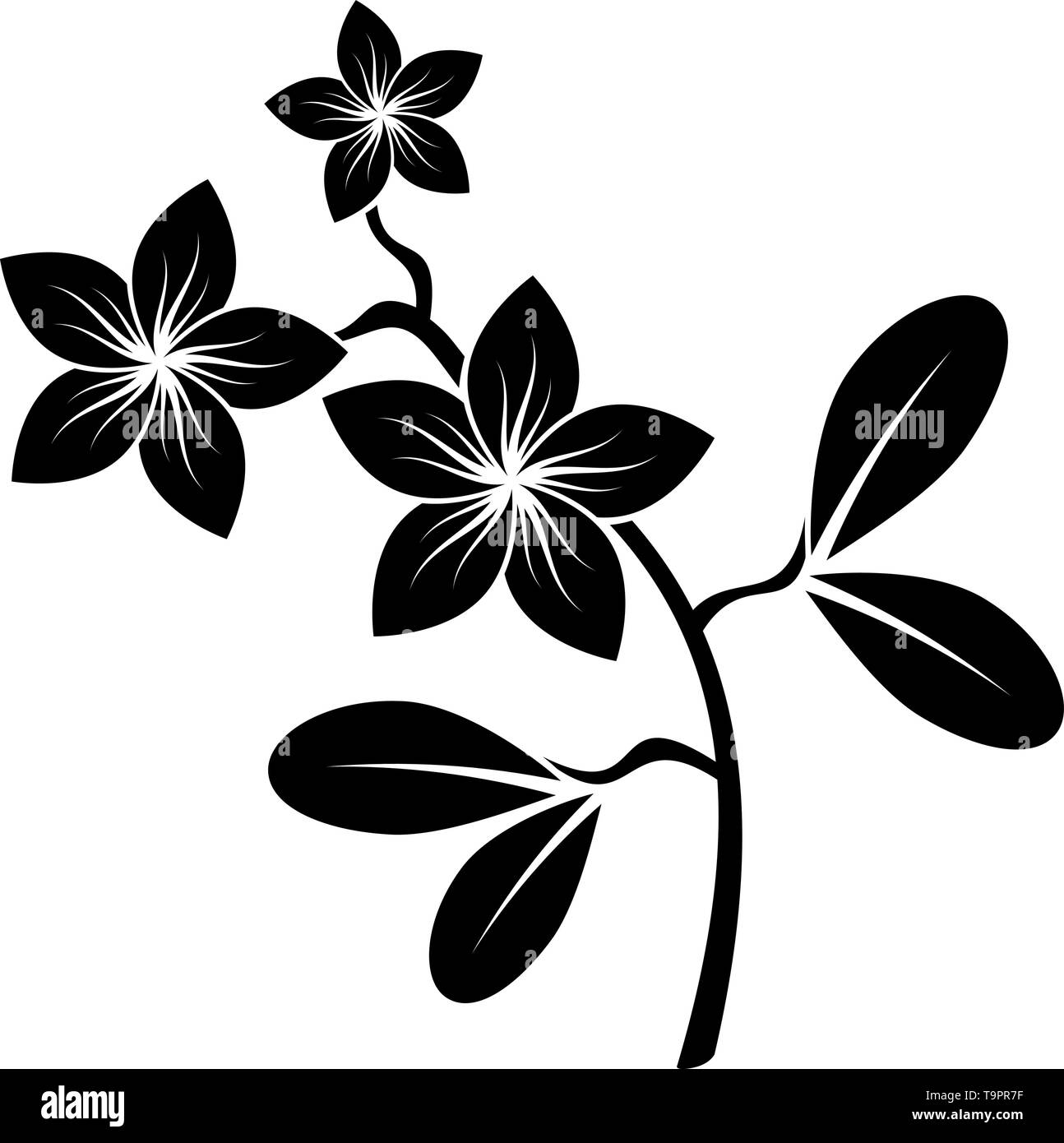 Frangipani vector vectors hi-res stock photography and images - Alamy