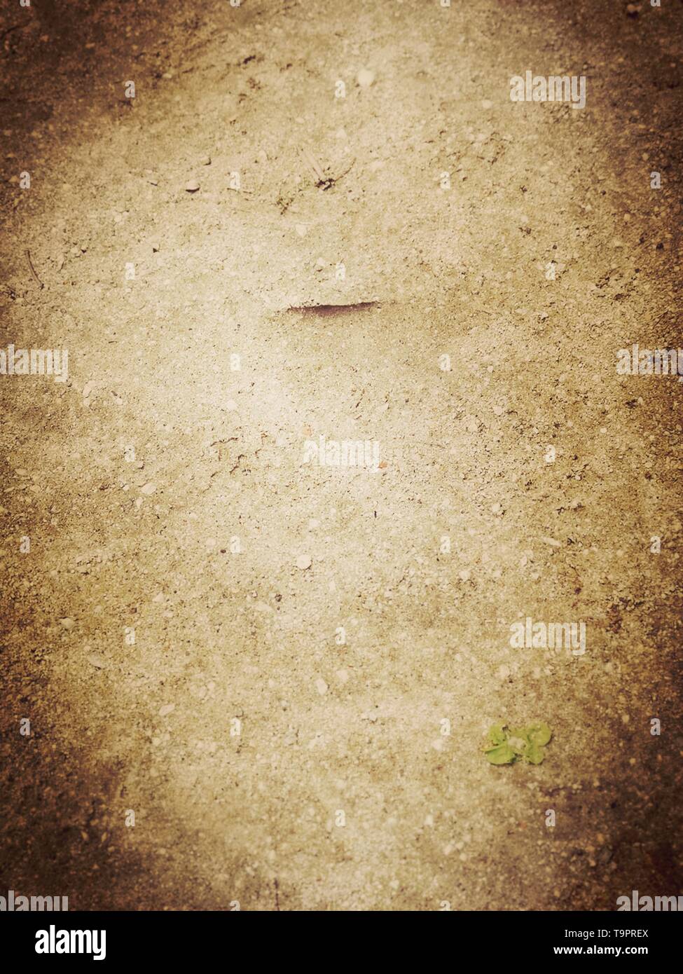 Brown parchment paper hi-res stock photography and images - Alamy