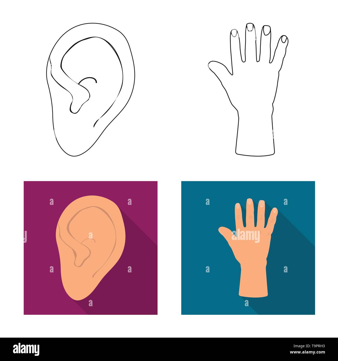 Vector design of body and part symbol. Set of body and anatomy vector ...