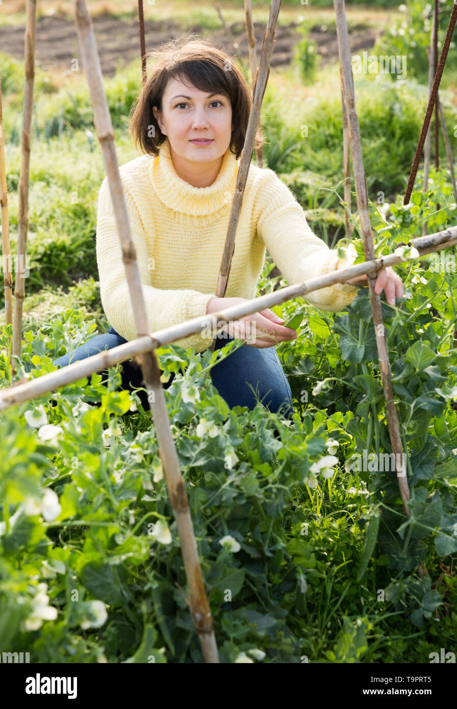 Young woman tending and cultivating garden at homestead, inspecting ...
