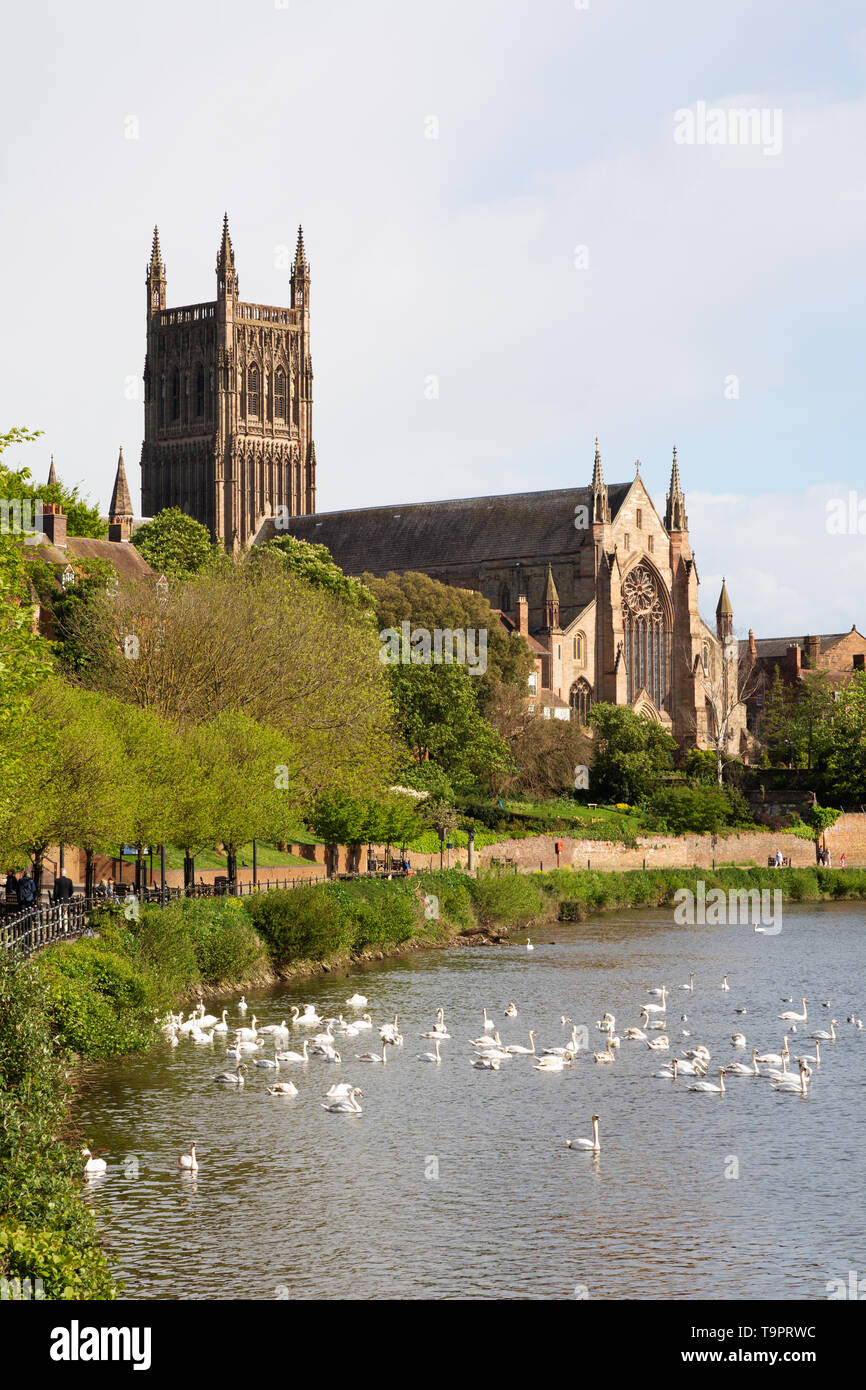 Worcester city centre hi-res stock photography and images - Alamy